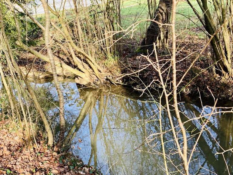 Merian Gärten & Park im Grünen | Wanderung | Komoot