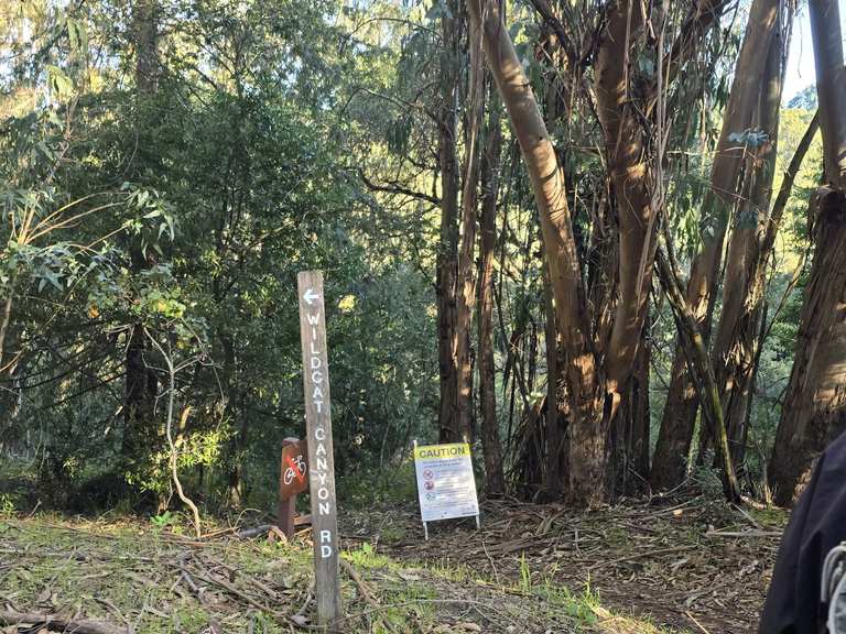 Tilden Park Wildcat Gorge Short Hike starting at Island Picnic Area ...