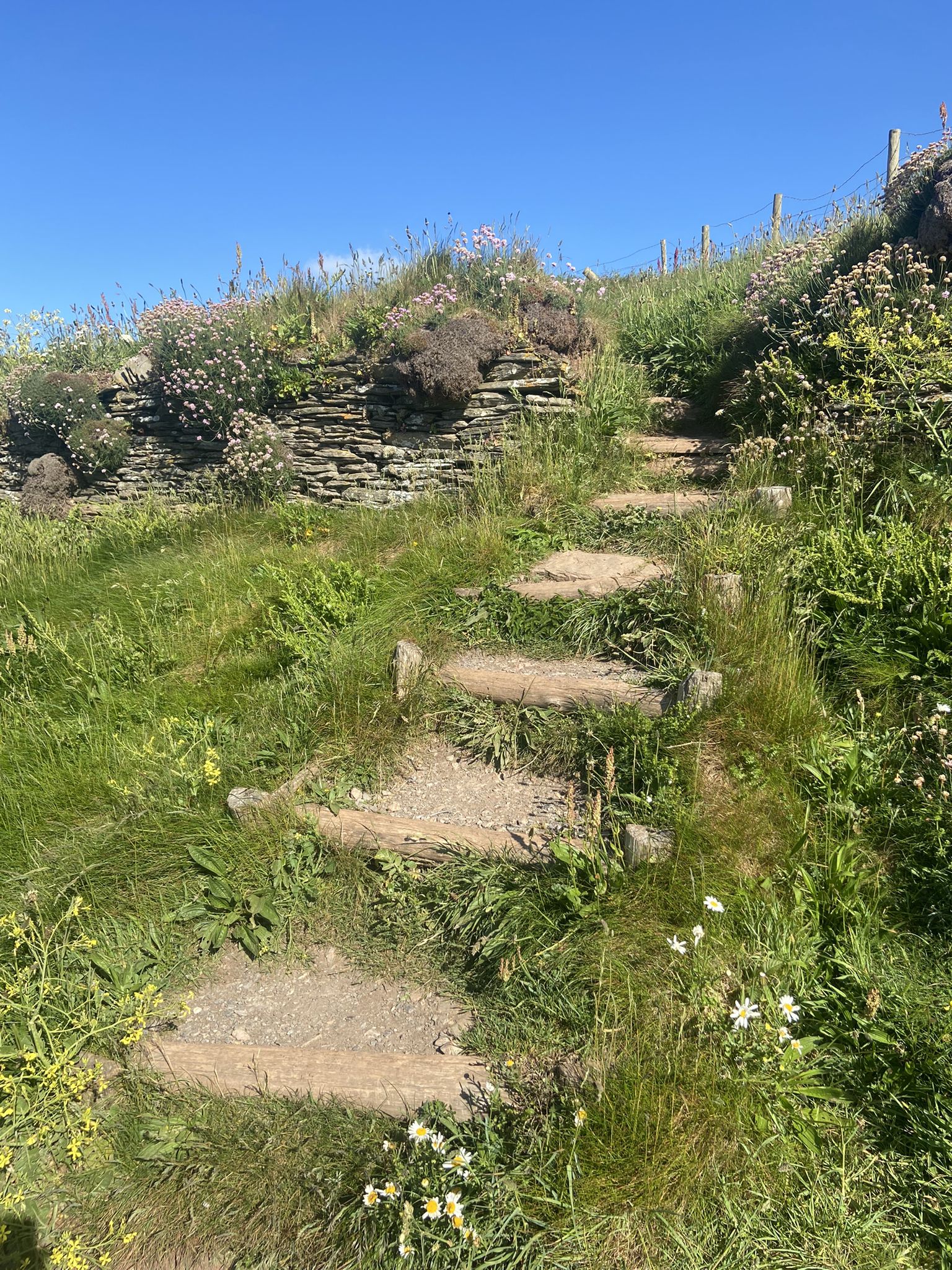 🇬🇧 South West Coast Path 2022 | Komoot