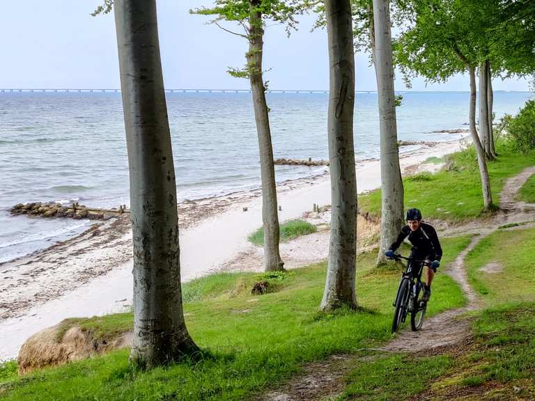 MTB trails in Denmark | Komoot
