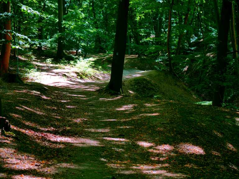 Seitenwechsel: Natur und Stille auf der "Schäl-Seit" von Koblenz | Komoot