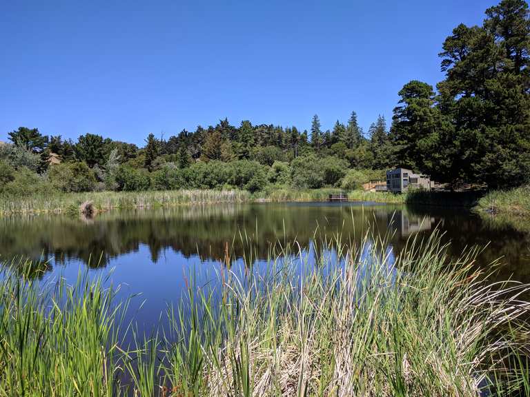 Alpine Pond - Horseshoe Lake loop | wycieczka piesza | Komoot