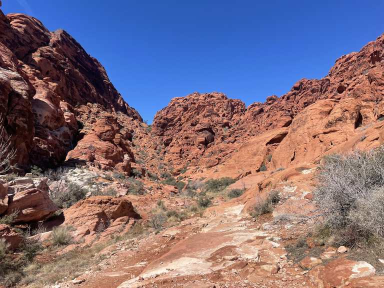 Guardian Angel Pass to Calico Hills from Red Spring | hike | Komoot