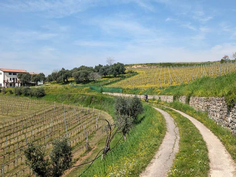 VR - Montorio Veronese - 025 Bassa Lessinia - 38km - 990m | E ...