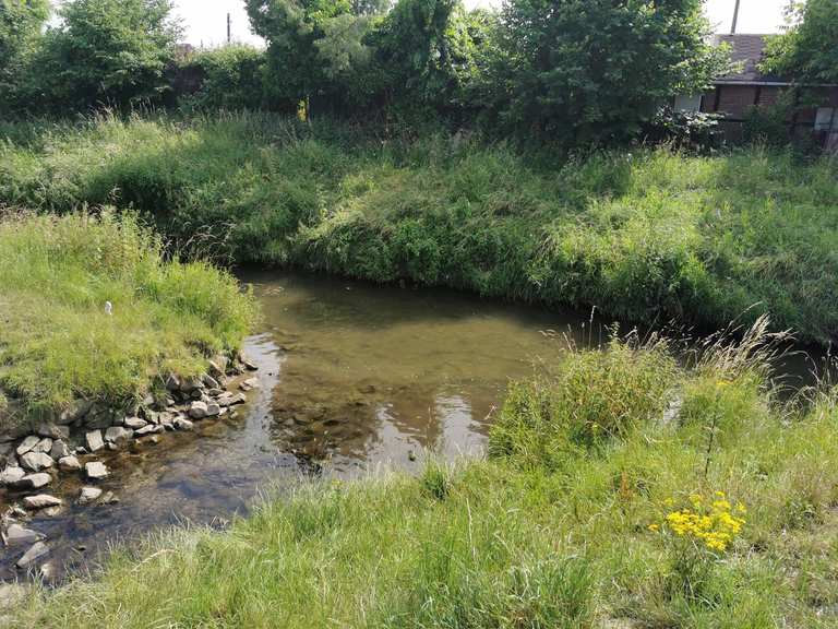 Der Düsseldorfer Pillebach, von der Quelle bis zur Mündung ...