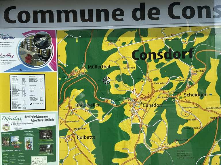 🇱🇺Luxemburg: Von Consdorf zum Schiessentümpel | Wanderung | Komoot