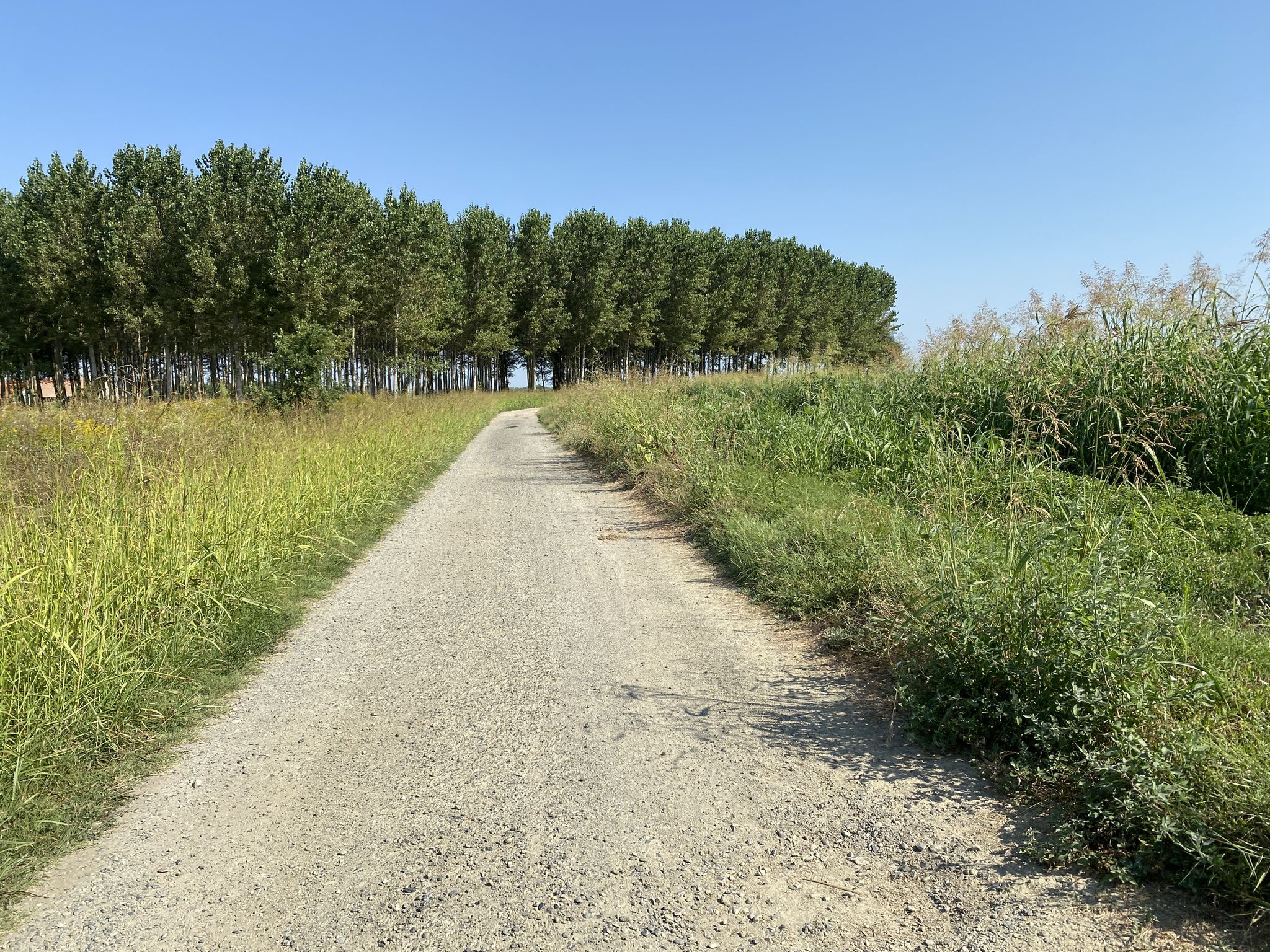 From Castelspina to Castellazzo Bormida (Routes 836 and 835) | Caminata ...