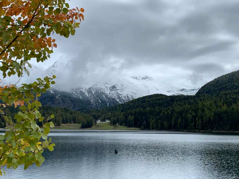 St. Moritz-Lei da Staz-Pontresina | Wanderung | Komoot