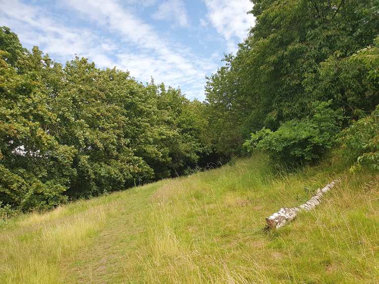Birmingham International to Marston Green : Rail Trail | Wanderung | Komoot
