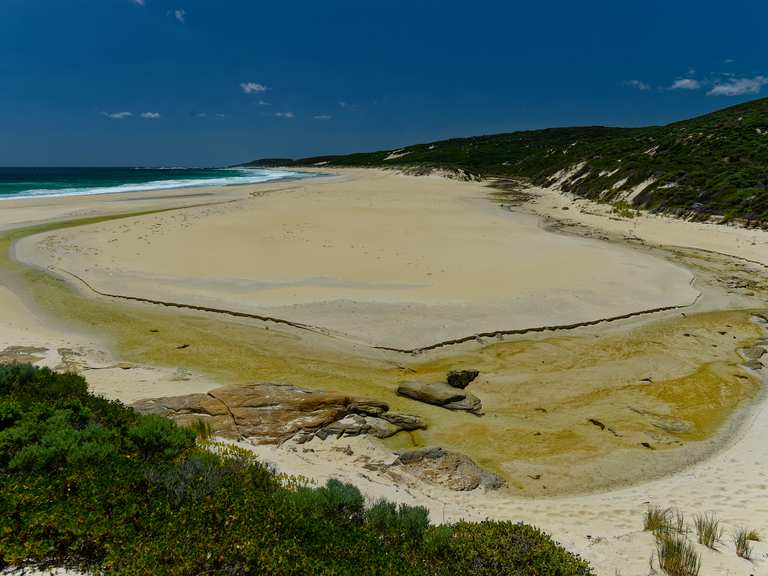 "Ich liebe es, wenn ein Plan funktioniert!" - Margaret River (🇦🇺 Tag 64 ...