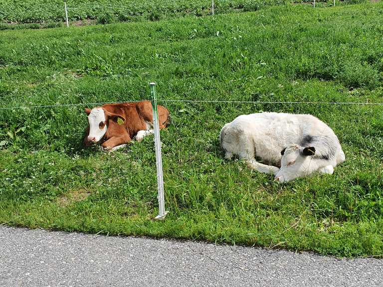 Pustertal Radweg Toblach nach Franzensfeste | Fahrradtour | Komoot