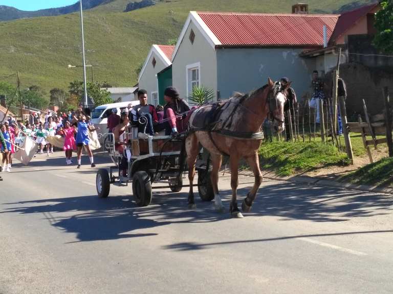 Genadendal loop - Free Cycling Movement | Mountainbike-Tour | Komoot
