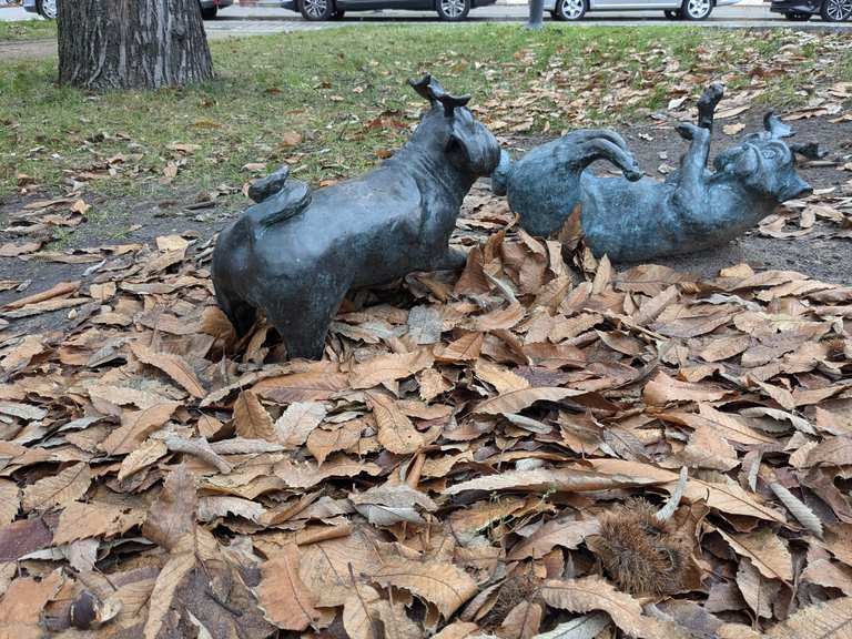 Loriot Mops Tour Brandenburg (Havel) mit Franks Wandergruppe ...