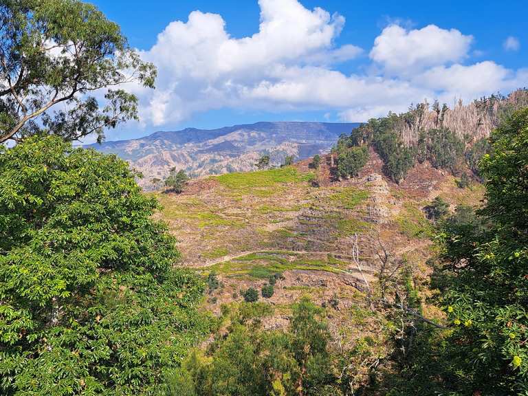 Wandern auf Madeira: Runde ab Fontes mit Pico da Cruz und Chão dos ...