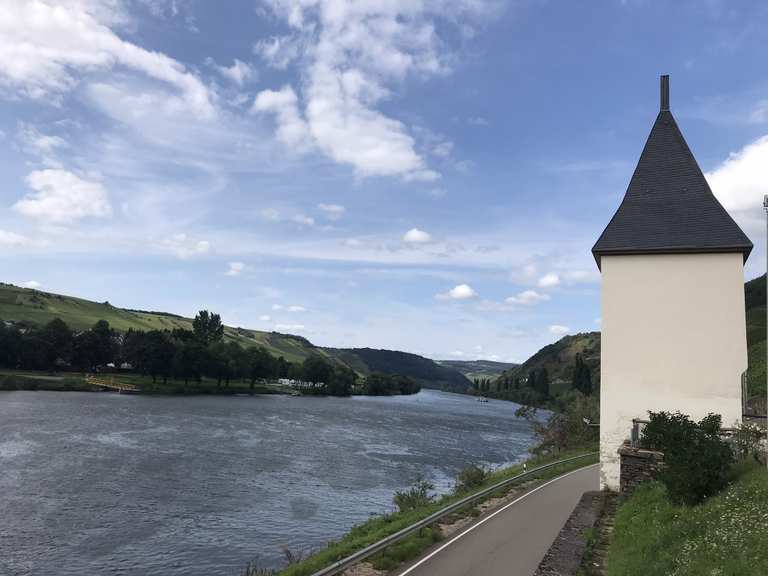 Kanzem - Wintrich (Moselradweg) | Gravel-Tour | Komoot