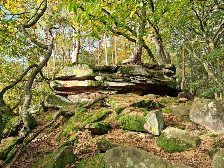 Hambach - Bergstein - Hohe-Loog-Haus - Diedesfelder Wetterkreuz - Zeter ...