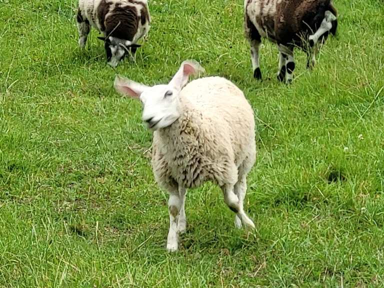 Radfahren im Münsterland | Komoot