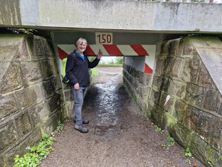 Gemeinsame Runde mit Michael um den Trammer See in Plön 13.6.24 ...