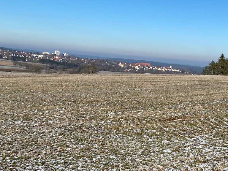 Leidringen NW🦯🥾🦯Galgenberg ⛰️Runde🌞 | Nordic-Walking-Tour | Komoot