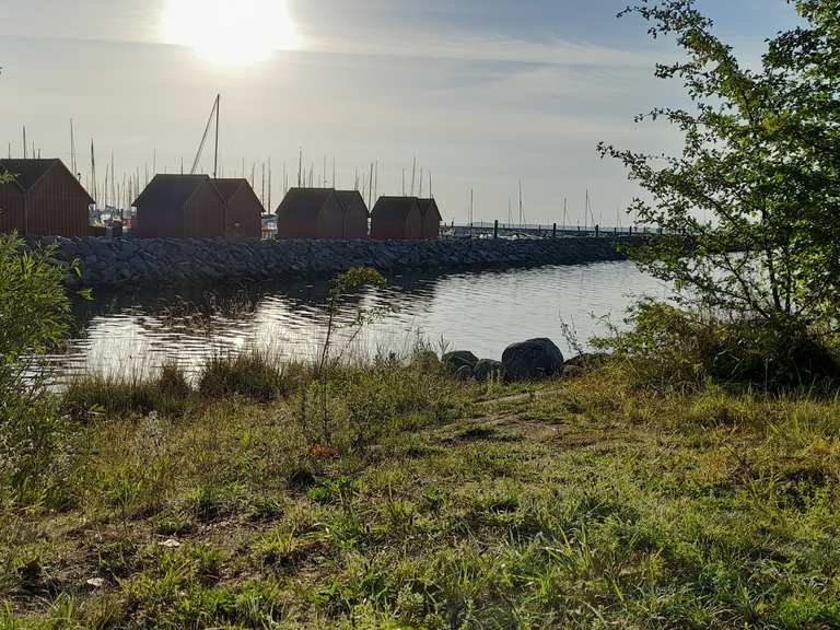 Chillen am Strand von Wohlenberg und Füßchen in die Ostsee getunkt 😉 ...
