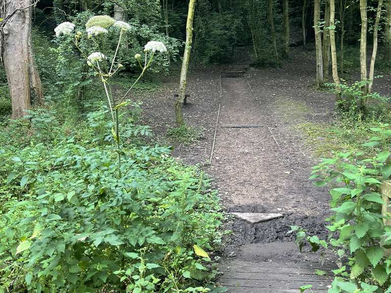 KERRIDGE HILL LOOP | hike | Komoot