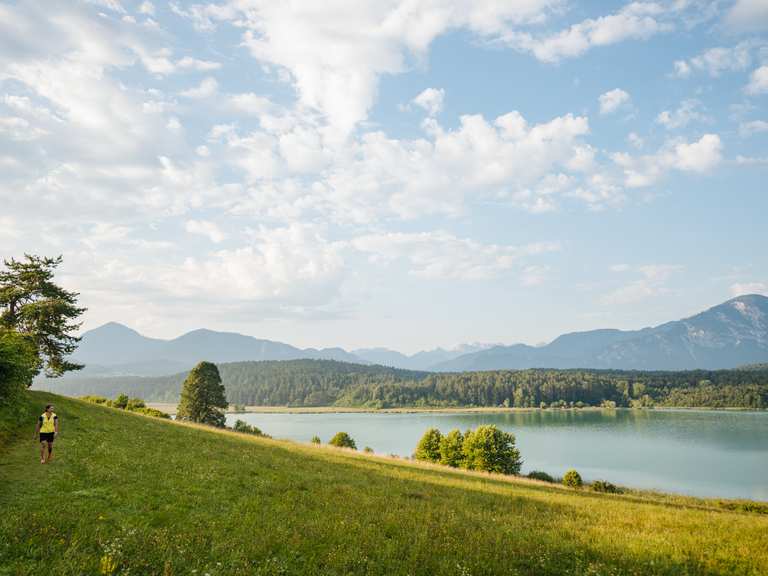 Naturpfade am Turnersee | Komoot