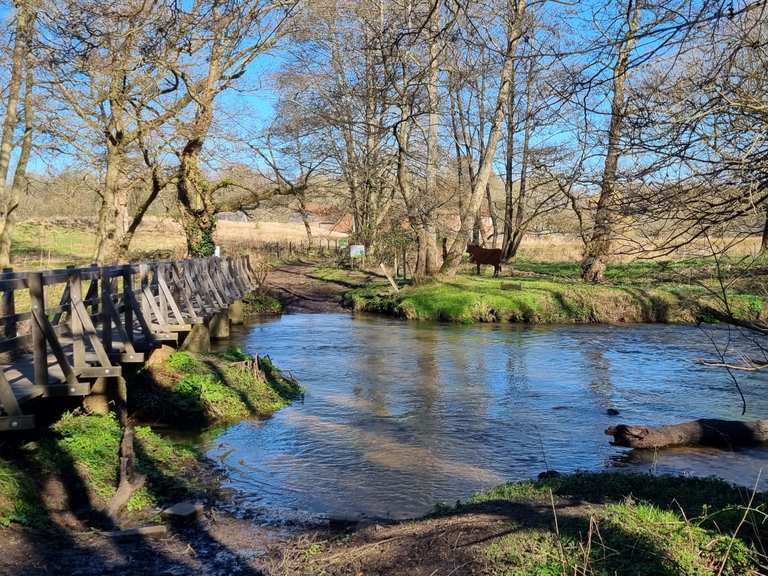 Frensham pond and the Devils Jumps | Wanderung | Komoot