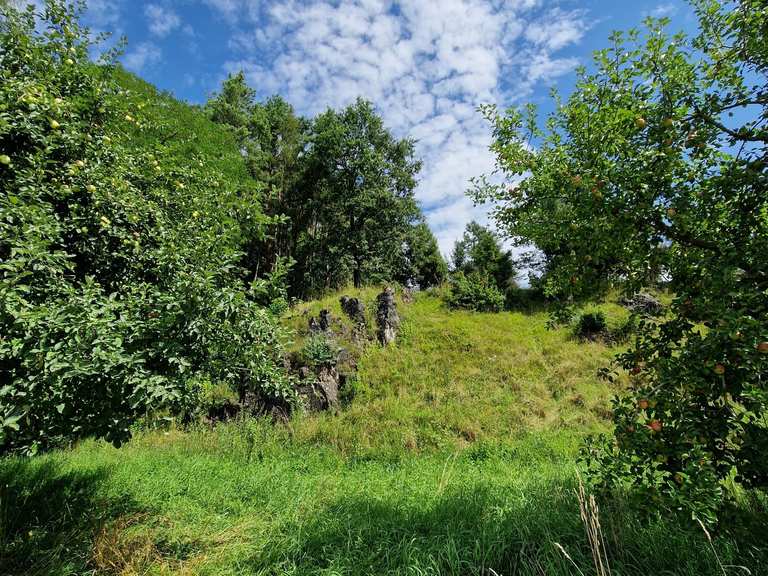Kasinger Runde - Jakobsrast | Wanderung | Komoot