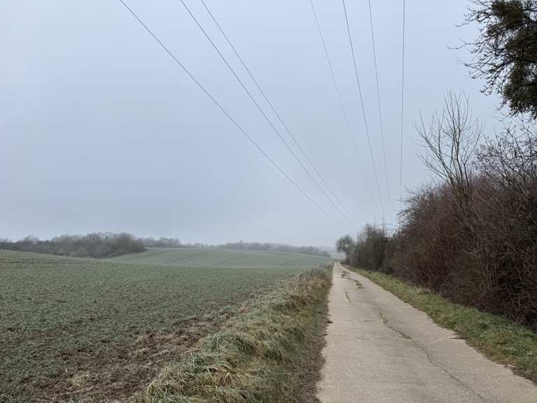 Nebel-Lauf bei minus 0,3 Grad | run | Komoot
