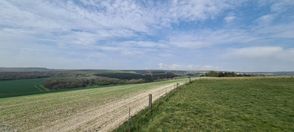 Halnaker windmill – Mill Lane Tree Tunnel loop from Boxgrove | hike ...