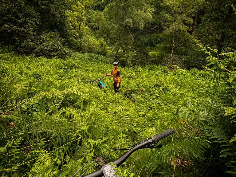 FOD plod | Mountainbike-Tour | Komoot