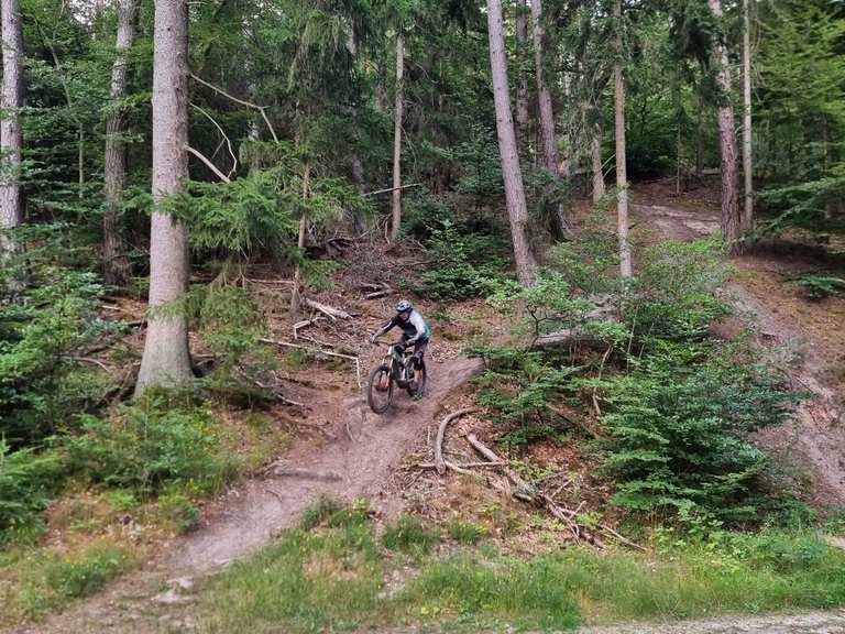 Pfalzbiker e.V.- Bababaller-Tour 🤟 | mountain bike ride | Komoot