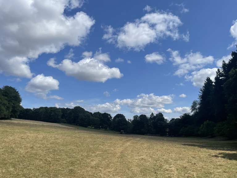Rohrberg / Hasseltal / Torhaus Aurora / Breitsol / Heunweg | hike | Komoot