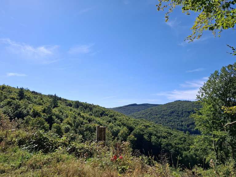 1. WISAG-Wandertag [Brilon] | Wanderung | Komoot