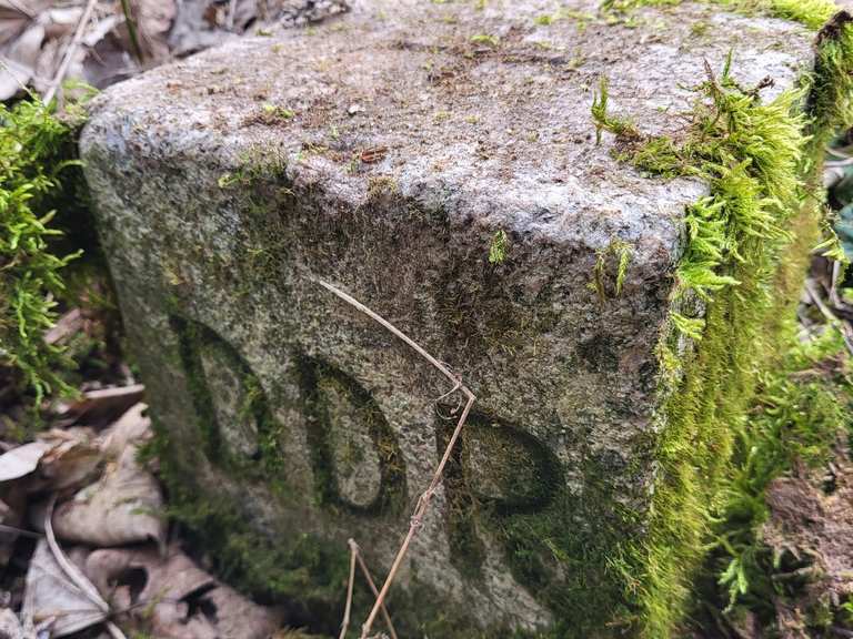 Steine unter gesetzl. Schutz GRÜNES BAND | Wanderung | Komoot