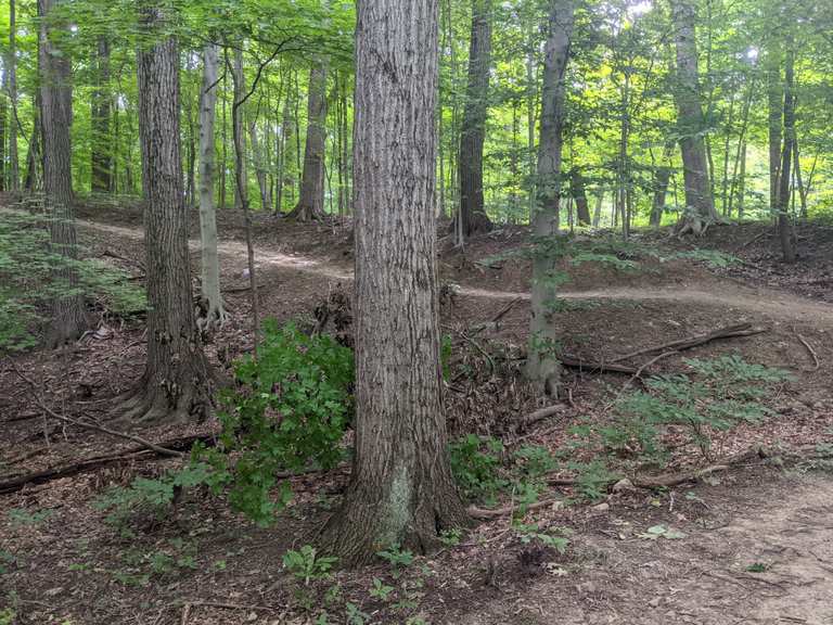 Deer Run Trail | Wanderung | Komoot