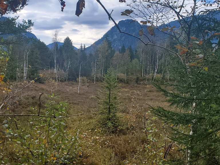 Inzell - Moor-ERLEBNIS-Pfad | Wanderung | Komoot