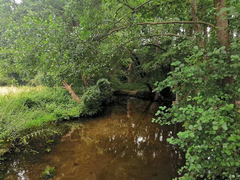 Runde Toppenstedt-Undeloh | Fahrradtour | Komoot
