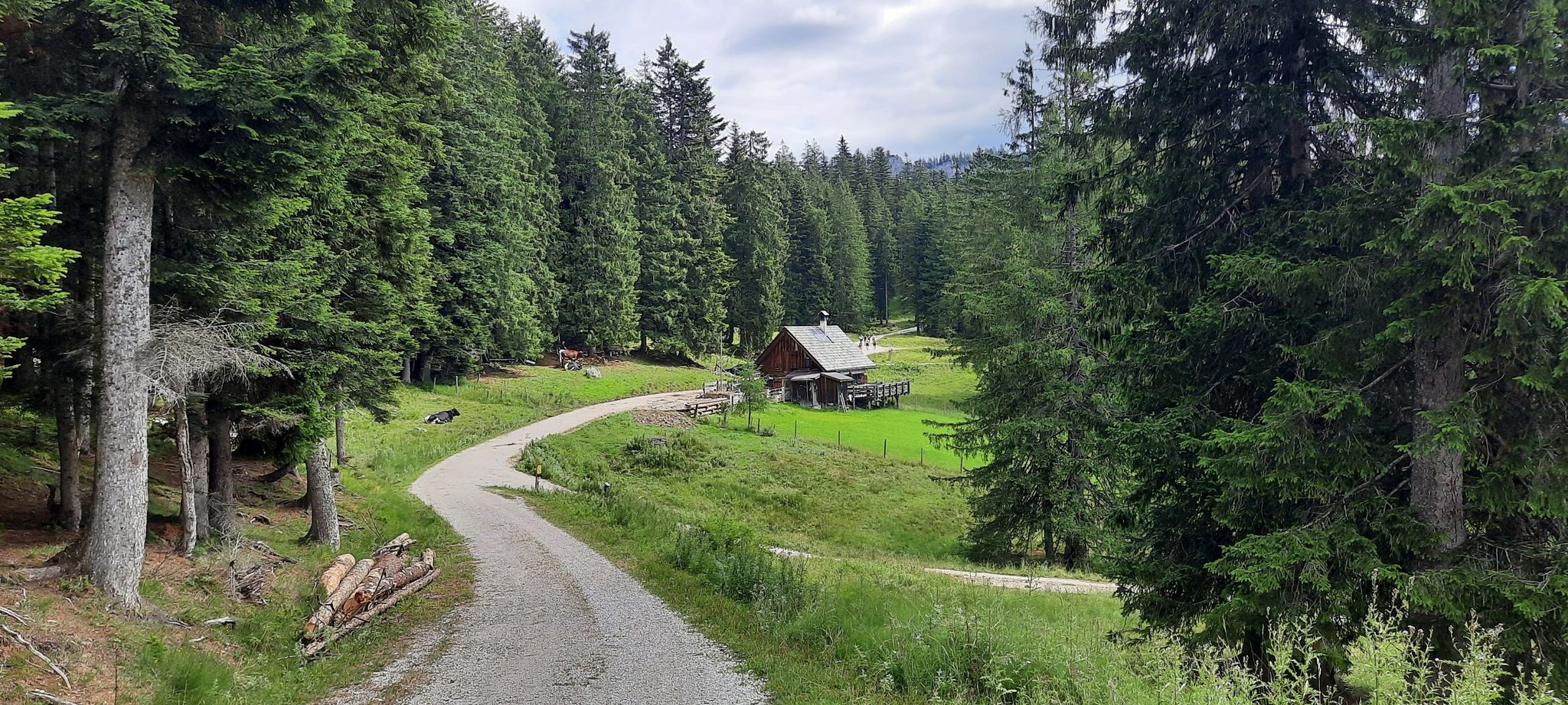 Radweg entlang des Rettenbachs – Ewige Wand Runde von Bad Goisern ...