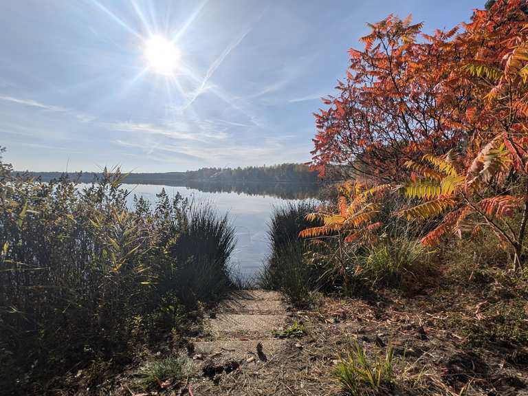 Niederlausitzer Heidelandschaft. Seewaldsee, Sanddünen, Roter See ...