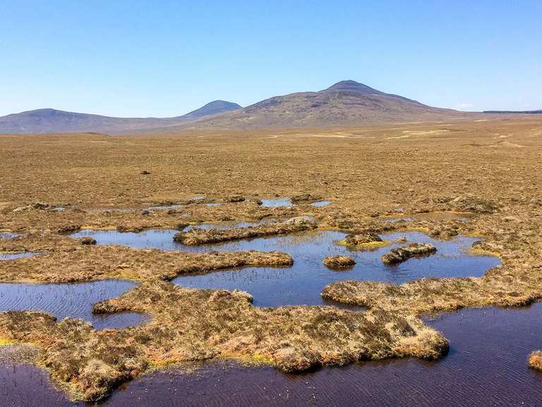 Northern Pilgrims Way - Braid 3 - Tain to Gills Bay | Komoot