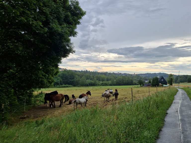 Bad Steben 🔄 Naila | Wanderung | Komoot