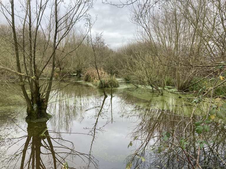 Um Burg Linn & Latumer Bruch | Wanderung | Komoot