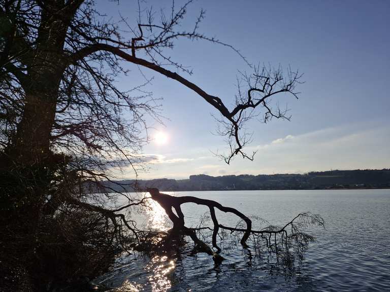 The March of Redemption | Komoot