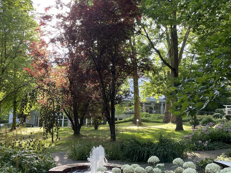 Kneipp - Aktiv - Weg | hike | Komoot