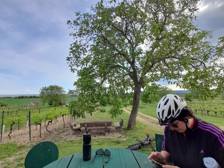 Fahrradtour Zwingendorf | E-Mountainbike-Tour | Komoot