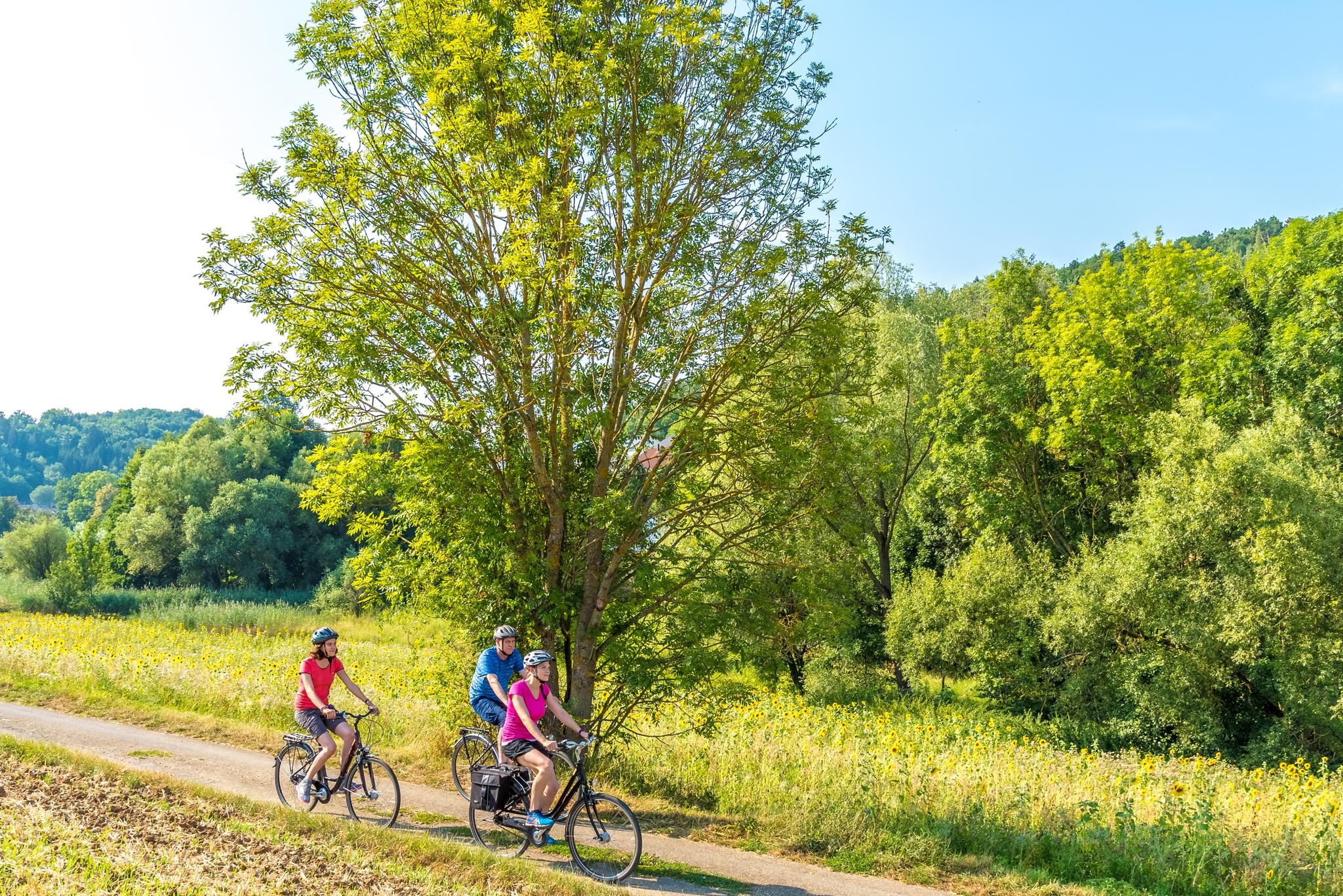 Main-Tauber-Fränkischer Rad-Achter | Komoot