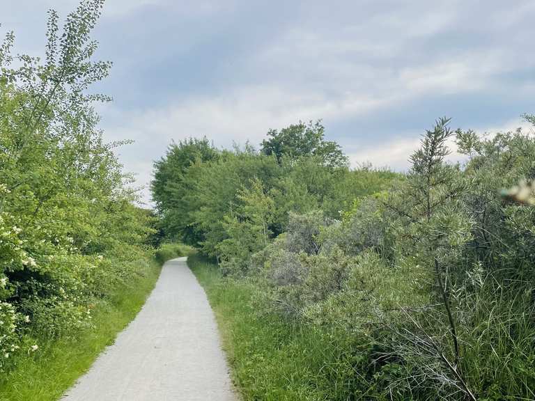 Pan van Persijn naar Duinen Berkheide | randonnée pédestre | Komoot
