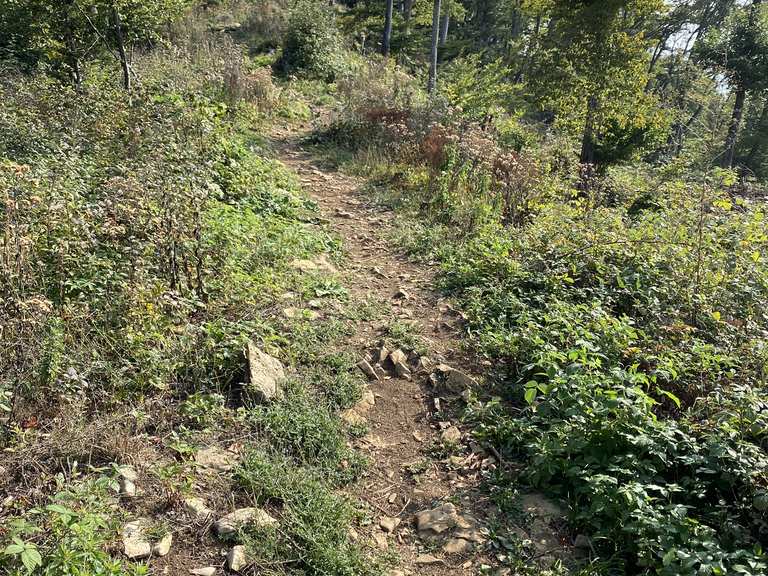 +AG B S1 Wildegg - Gisliflue - Habsburg - Brunegg 🏰 🚵‍♂️ 💝 | e-mountain ...