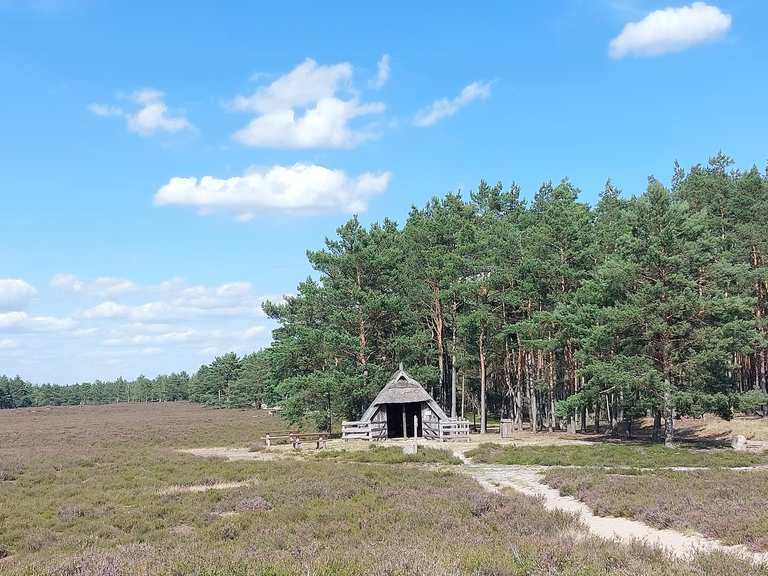 Durch die Nemitzer Heide | Wanderung | Komoot